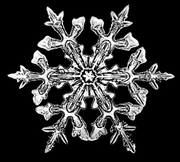 Enjoy Snow? Here's the Man Who Took the First Pictures of Snowflakes ...