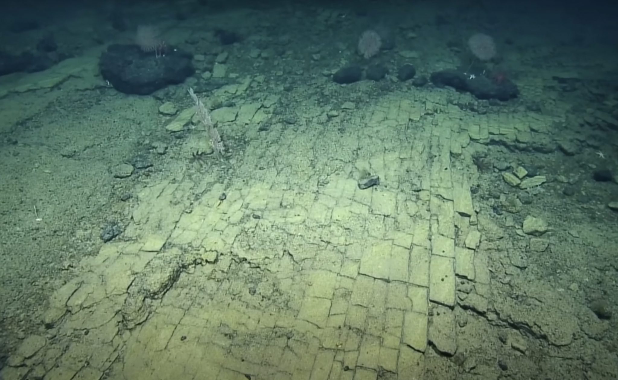 A 'Yellow Brick Road' at the Bottom of the Ocean? » Explorersweb