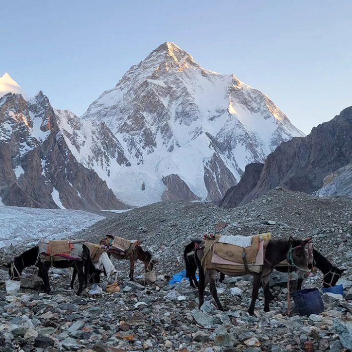 K2 Fees Up for the First Time in 20 Years, and It's a Good Idea ...