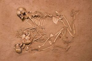 Niger Expedition Finds Lost World of African Dinosaurs — And Ancient ...