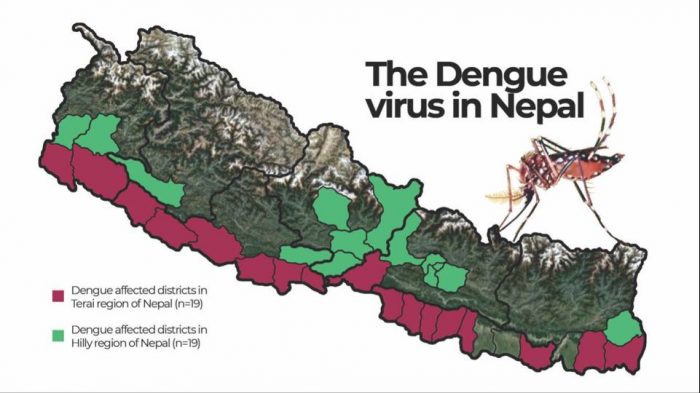 Dengue Outbreak Adds to Nepal's Monsoon-Related Problems » Explorersweb