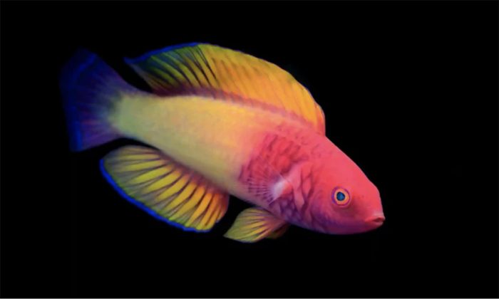 Science Links of the Week » Explorersweb