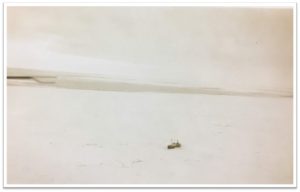 Exploration Mysteries: The SS Baychimo, 38 Years as a Ghost Ship ...