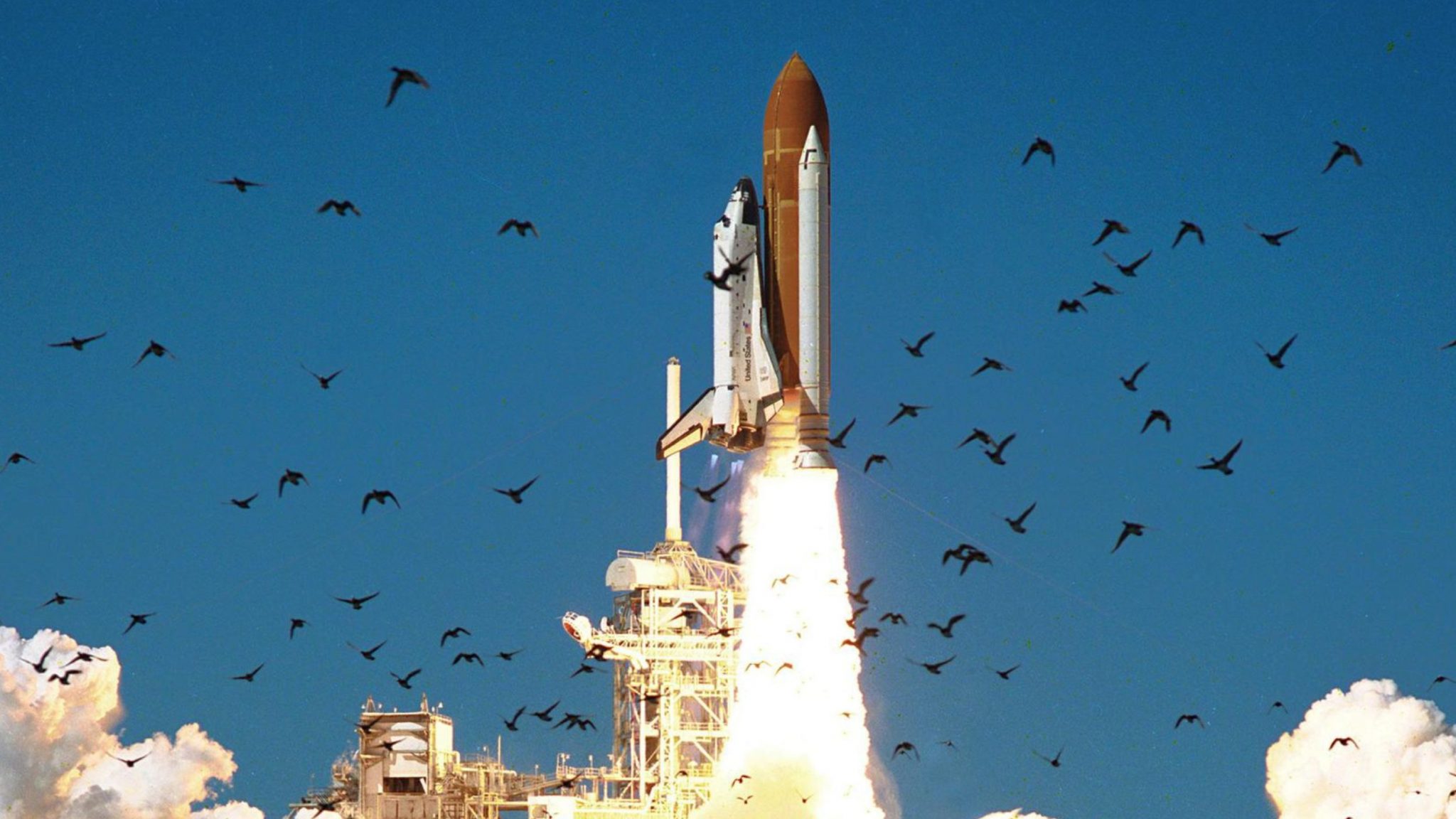 Bermuda Triangle Expedition Finds Piece of the Challenger Shuttle ...