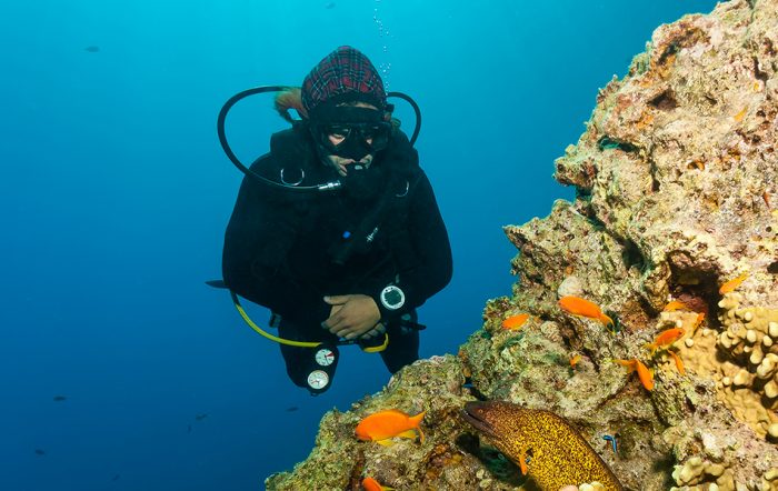 The Best Dive Watches For Marine Adventures In 2022 » Explorersweb