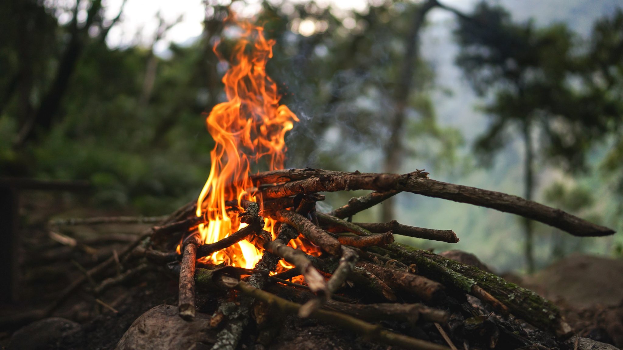 New Find Prompts Controversy Over Whether Pre-Humans Used Fire ...
