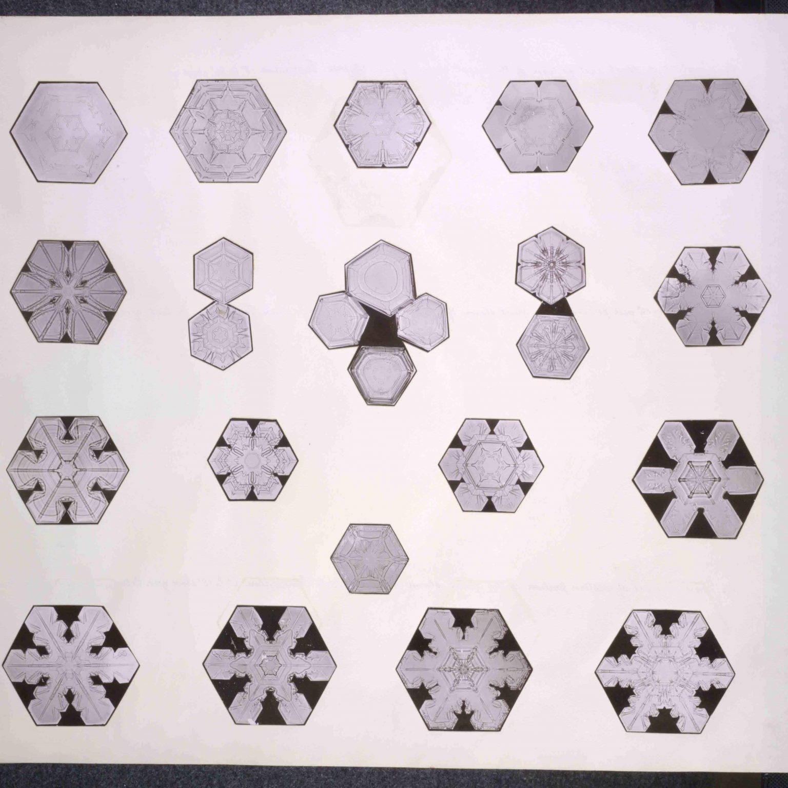 Snowflake Bentley's Pioneering Photos Now Online » Explorersweb