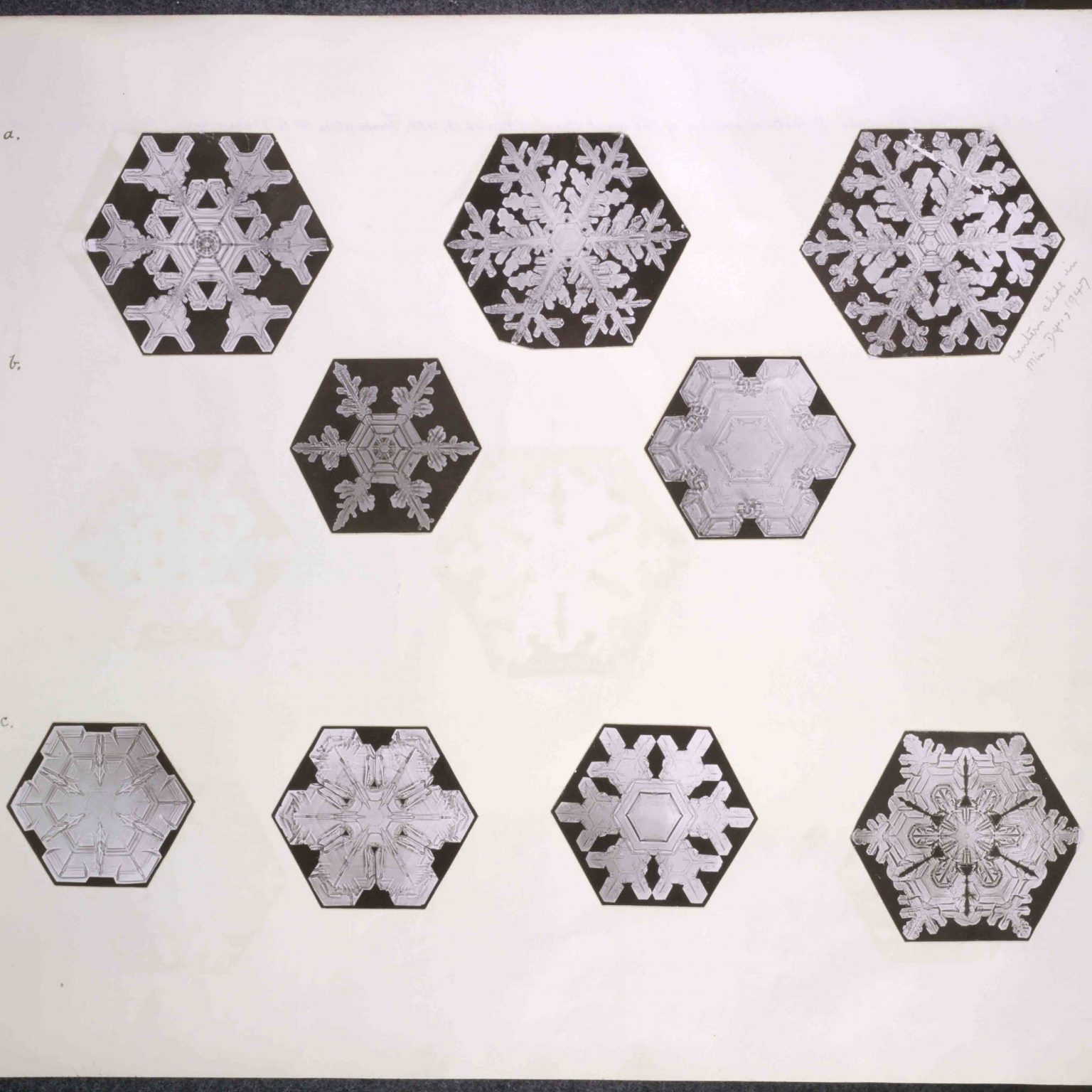 Snowflake Bentley's Pioneering Photos Now Online » Explorersweb