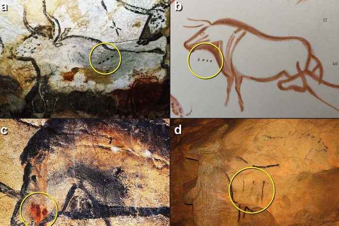 A 'Person Off The Street' Solves Mystery Of Ice Age Drawings » Explorersweb