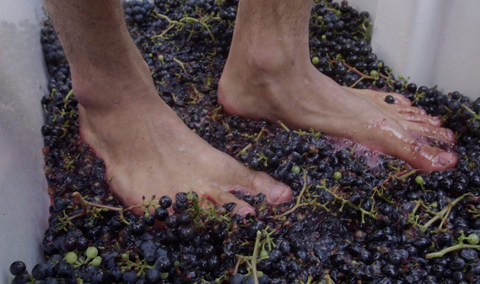 Weekend Warm-Up: If You Only Watch One Climbing Movie Ever, 'Barefoot ...