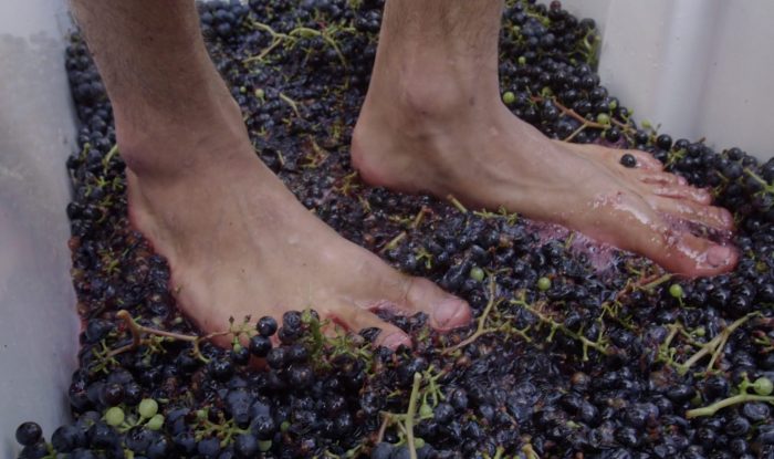 Weekend Warm-Up: If You Only Watch One Climbing Movie Ever, 'Barefoot ...