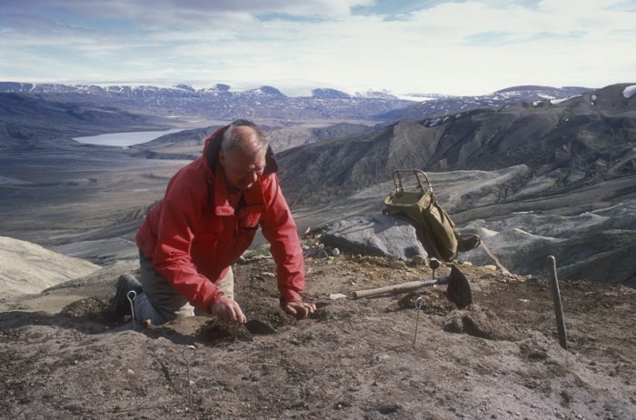 Primate Ancestors Lived in High Arctic 52M Years Ago » Explorersweb