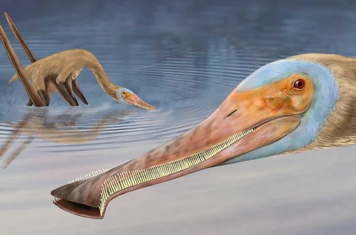 Newly Discovered 'Duck' Dinosaur Had Over 400 Teeth » Explorersweb