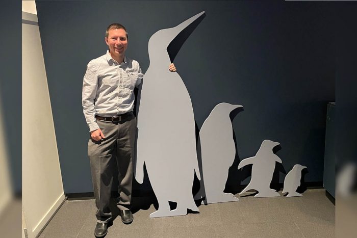 160Kg Monster Penguin Once Roamed New Zealand » Explorersweb