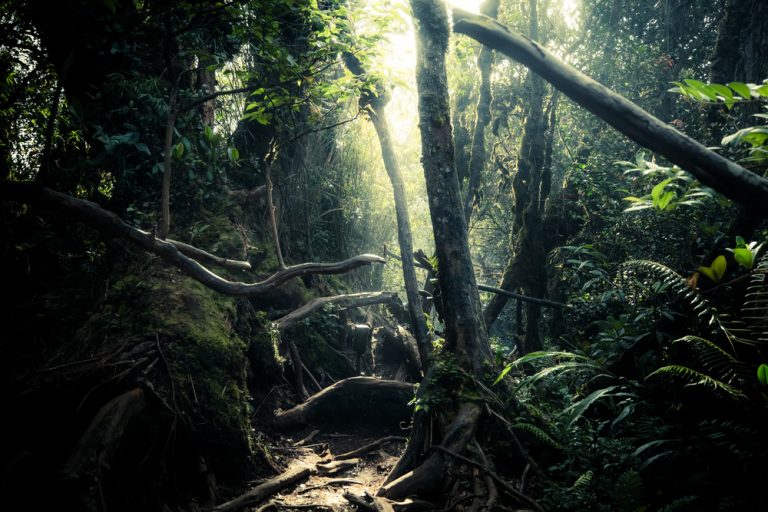 A Guide to Caribbean Folklore » Explorersweb