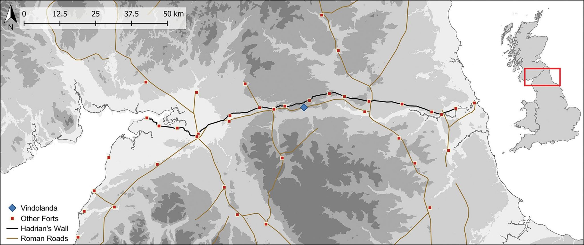 Dildo, Pestle, or Torture Tool? Historians Ponder Uses Of Ancient Roman ...