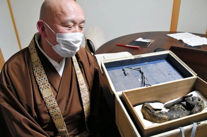 Priest Vows to Take Care of 'Mummified Mermaid' » Explorersweb