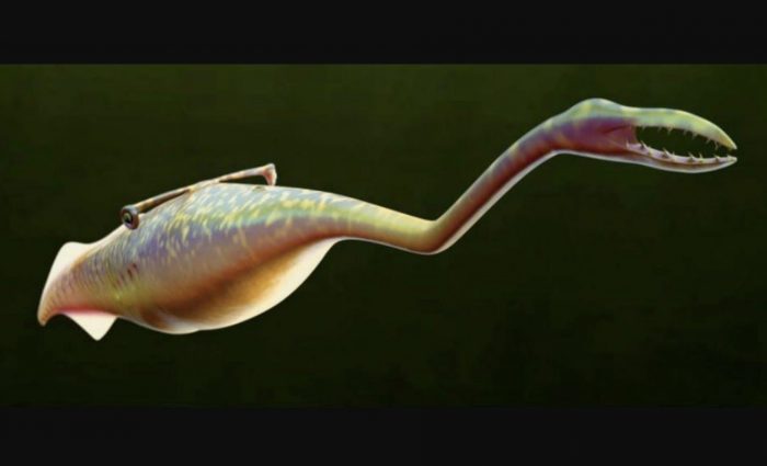 Dinosaur Worm: Weird 'Tully Monster' Had No Bones » Explorersweb