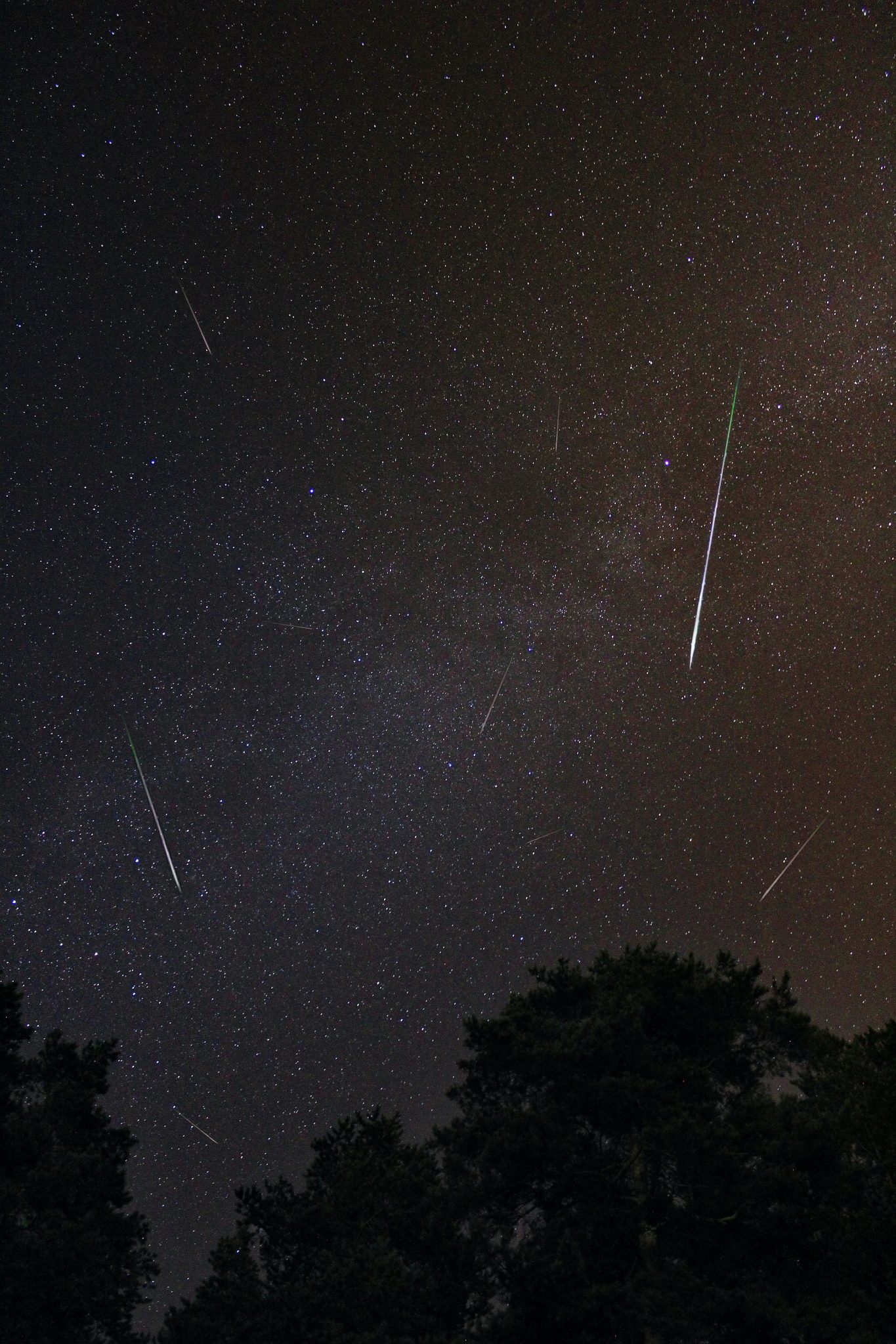 The Night the Stars Fell: The 1833 Meteor Shower » Explorersweb
