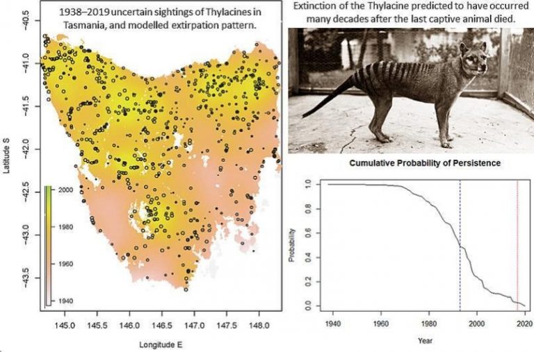 Does the Tasmanian Tiger Still Exist? It's a Long Shot » Explorersweb