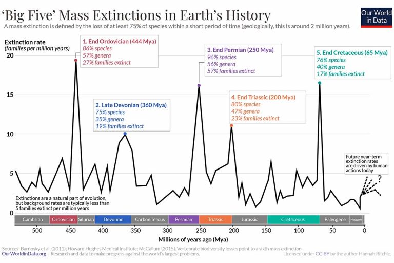 New Evidence of Earth's Earliest Mass Extinction » Explorersweb