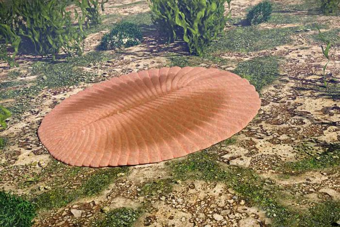 New Evidence of Earth's Earliest Mass Extinction » Explorersweb