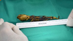 The Alien of the Atacama » Explorersweb