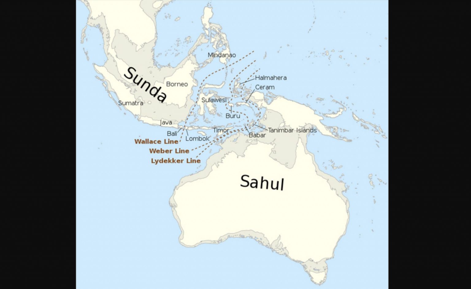 New Insights into Australia's Ancient Humans » Explorersweb