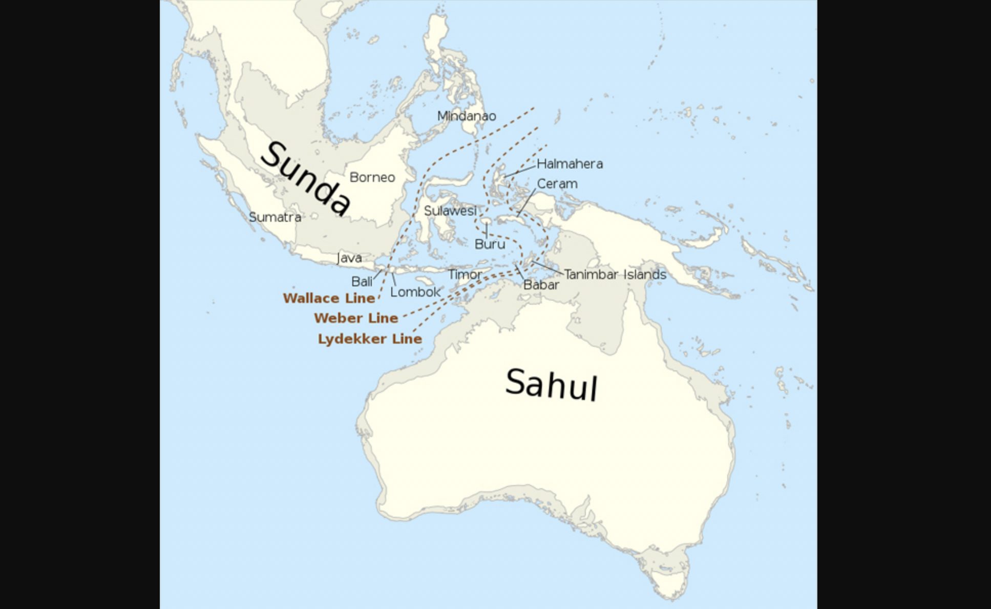 New Insights into Australia's Ancient Humans » Explorersweb