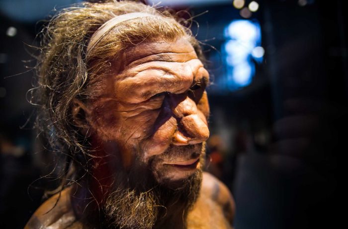Buried With Flowers: Were the Neanderthals That Empathetic? » Explorersweb