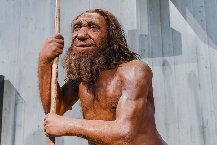 Buried With Flowers: Were the Neanderthals That Empathetic? » Explorersweb
