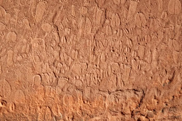 Stone Age Carvings Are so Precise That They Reveal Species, Gender ...