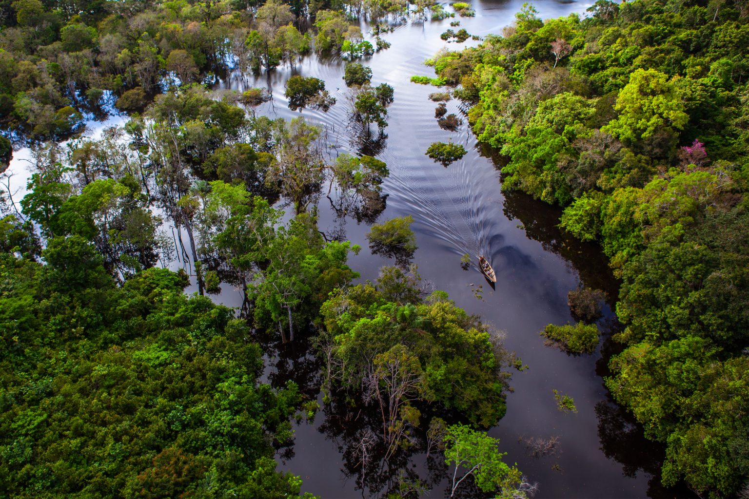 Expedition Wants to Prove the Amazon is the World's Longest River ...