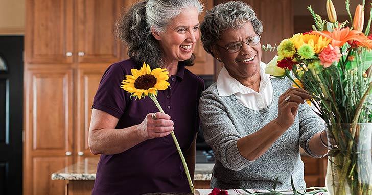 Home Instead Senior Care in Monroe, MI