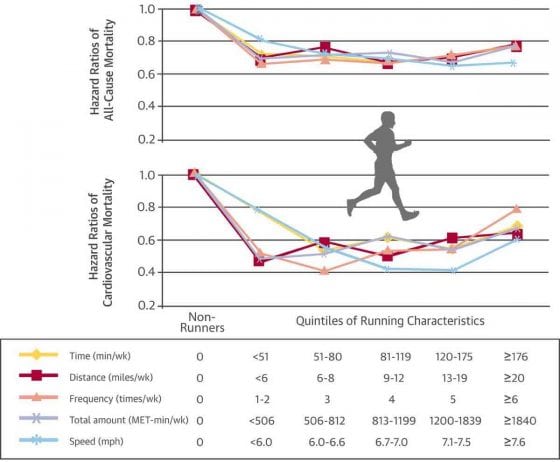Racing Heart: How Running Affects The Heart – iRunFar