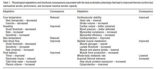 Handle the Heat: Heat Acclimation for Endurance Running – iRunFar