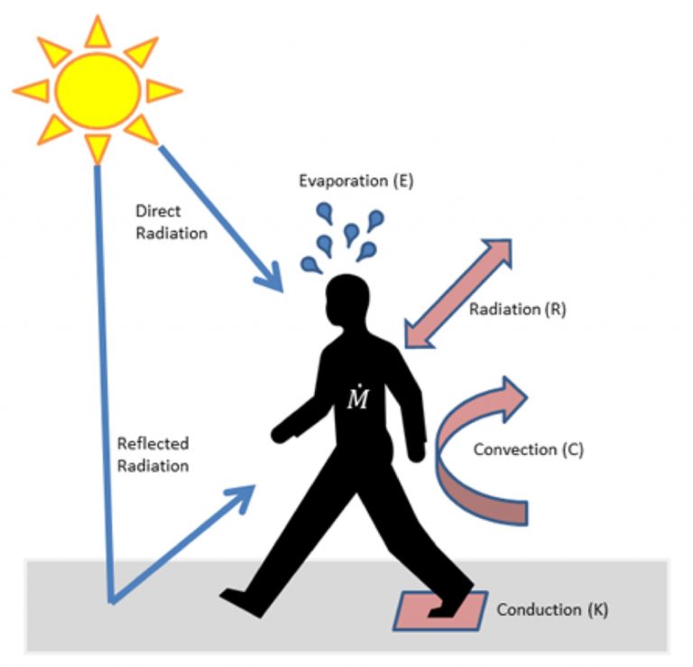 Stay Cool: Cooling Techniques in Endurance Running – iRunFar