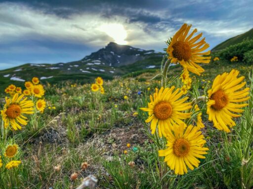 Stony Pass Sunnies – iRunFar