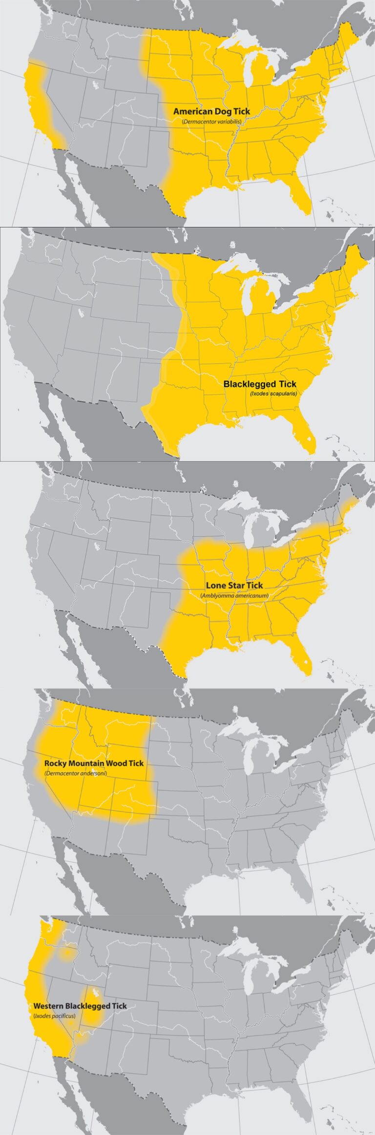 Tick Check: A Guide for Running in Tick Country – iRunFar