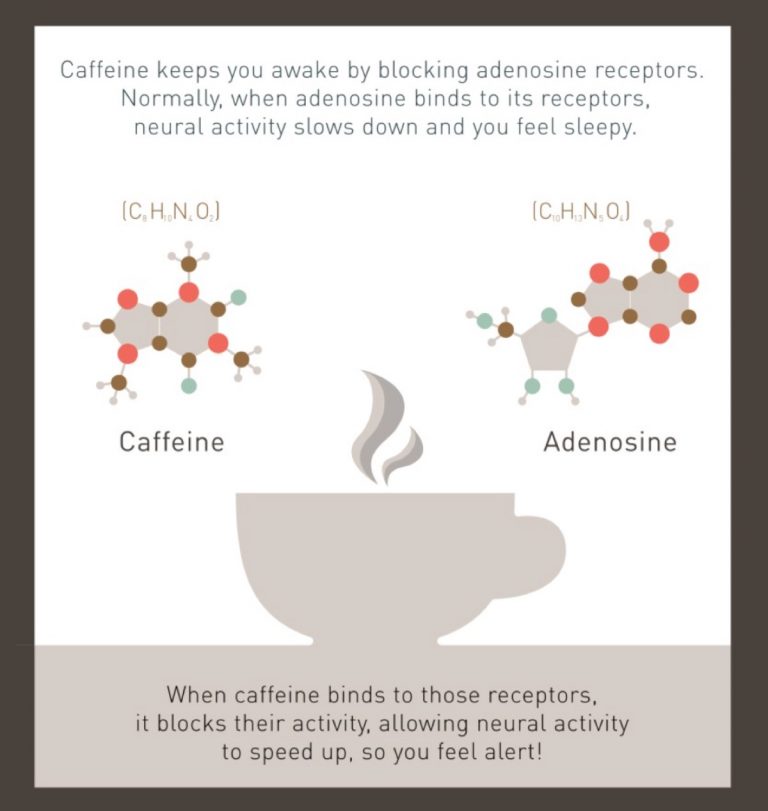 Caffeine and Performance: What's the Buzz All About? – iRunFar