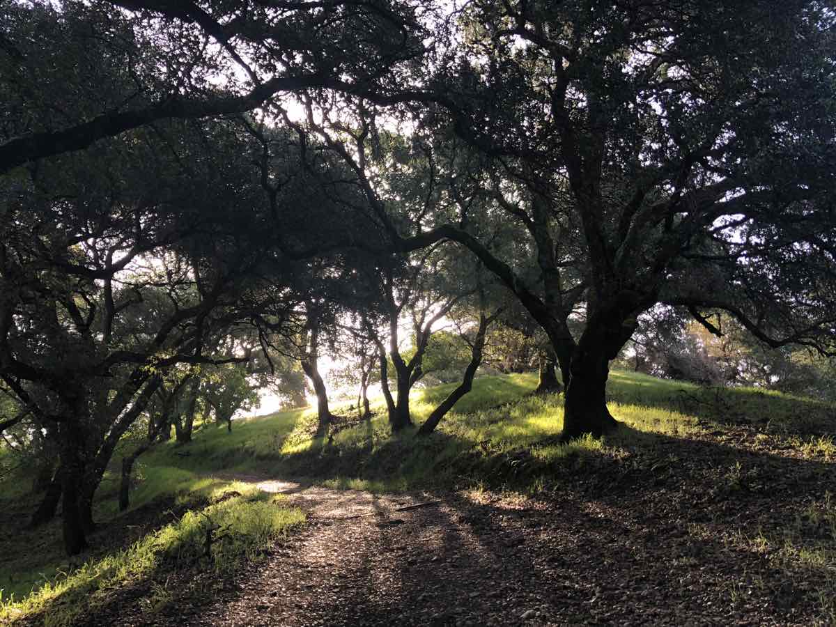 Shiloh Ranch Regional Park – iRunFar