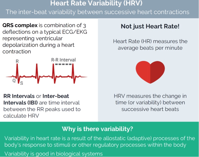 What The Heck Is Heart Rate Variability IRunFar