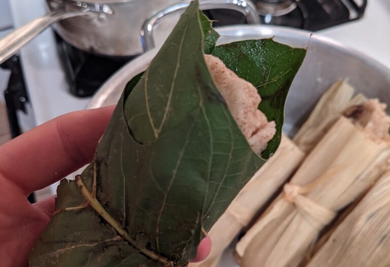 Why Tamales are Good for the Planet, the Trail, and You – iRunFar