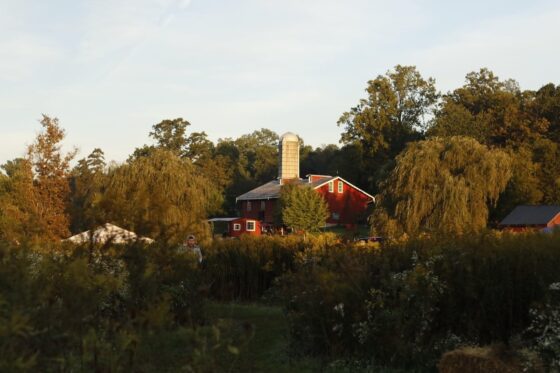A 12-Hour Day at the Red Barn Challenge – iRunFar
