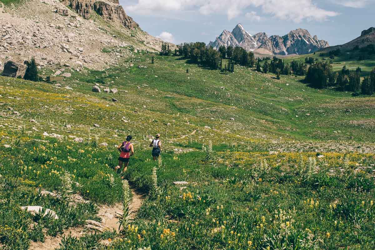 Sam Diaz - We Run Far-Teton Crest Trail Flowers – iRunFar