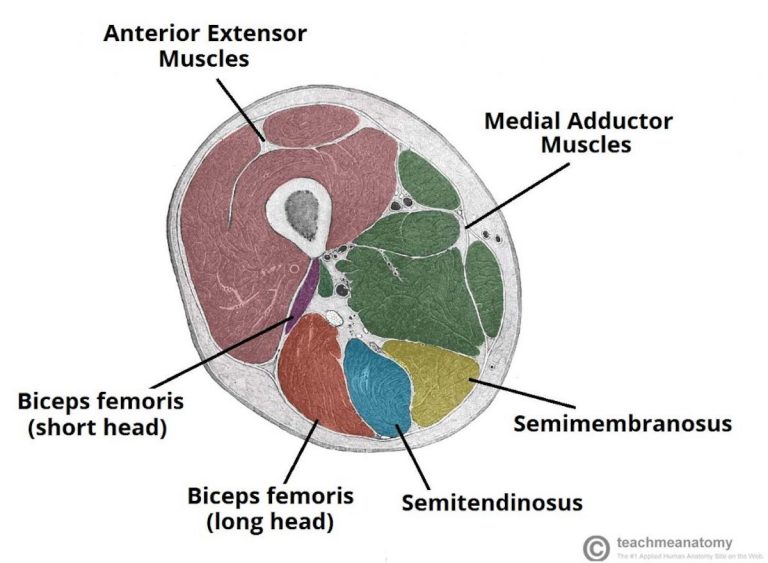 Advanced Soft Tissue Strategies for Lower Leg Pain – iRunFar
