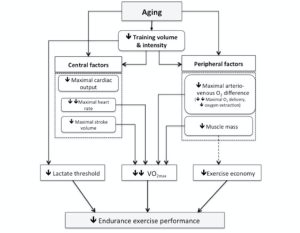 The Masters Athlete: Using Science to Optimize Running Performance and ...