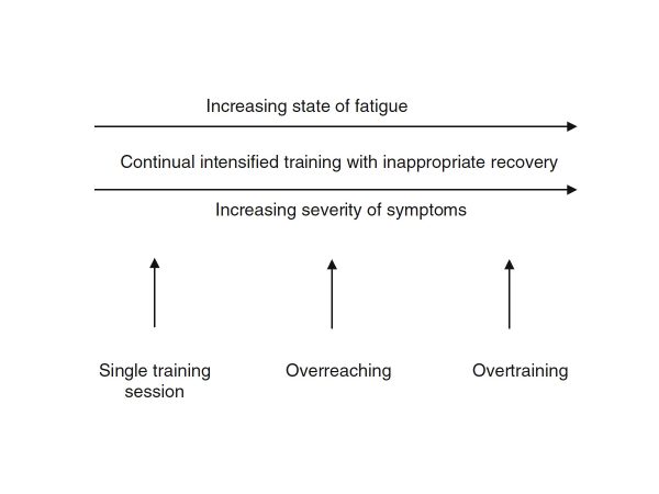 Is Your Overtraining Syndrome Really Relative Energy Deficiency in ...