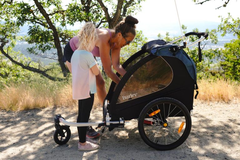 Best Jogging Strollers of 2025 – iRunFar