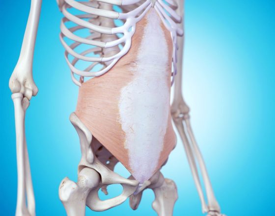 Ribcage Opening Techniques for the Thoracic Spine, A Silent Culprit in ...